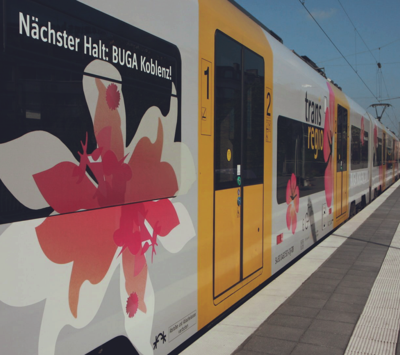 Alpha Trains - Arcus